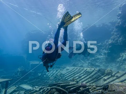 Photograph: Diver dives on the reefs of the Red Sea #157682637