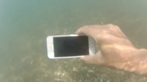 Water Monitor Video Stock Videos – Royalty-Free HD & 4K Videos