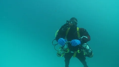 Diver touching a sea butterfly swimming ... | Stock Video | Pond5