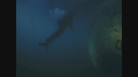 Sealab Stock Footage ~ Royalty Free Stock Videos | Pond5