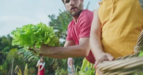 Diverse people growing cultivating food ... | Stock Video | Pond5