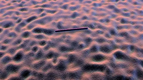 Bacteria Divide Stock Footage ~ Royalty Free Stock Videos | Pond5