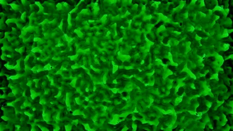 Dividing green bacteria under microscope... | Stock Video | Pond5