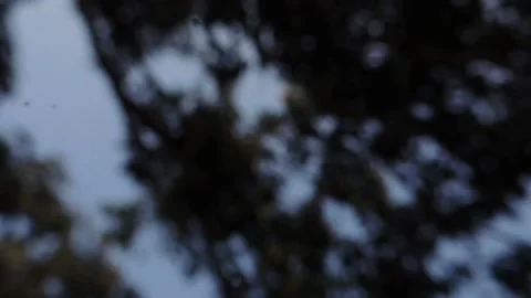 Swirl Vertigo Spiral Stock Footage ~ Royalty Free Stock Videos | Pond5