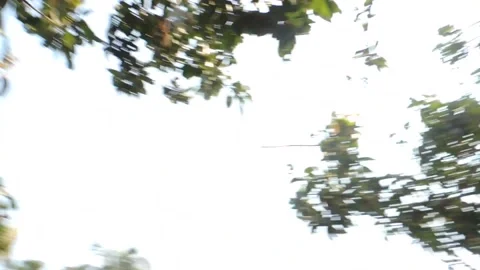 Swirl Vertigo Spiral Stock Footage ~ Royalty Free Stock Videos | Pond5