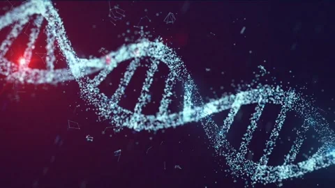 After Effects Template ~ AE: DNA #242509996 | Pond5