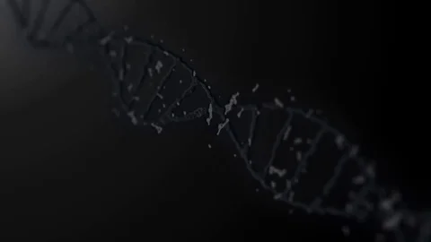 DNA animation on the black background. | Stock Video | Pond5