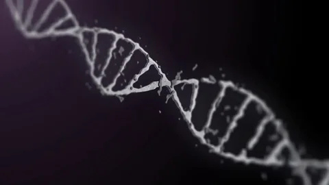 DNA animation on the black background. | Stock Video | Pond5