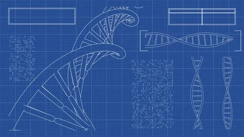 DNA blueprint RNA double helix slow scie... | Stock Video | Pond5