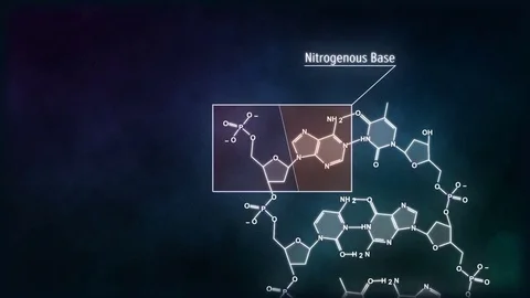 DNA Chemical Structure Animation | Stock Video | Pond5