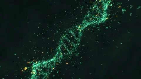 Dna Letters Stock Footage ~ Royalty Free Stock Videos | Pond5