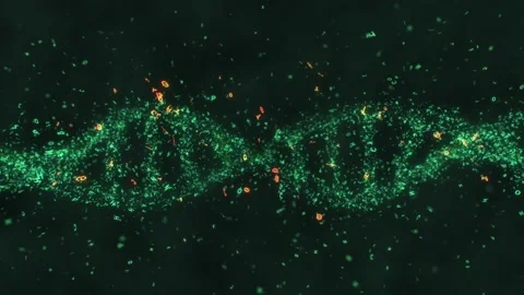 DNA Code Strand with ATCG Letters Loop | Stock Video | Pond5