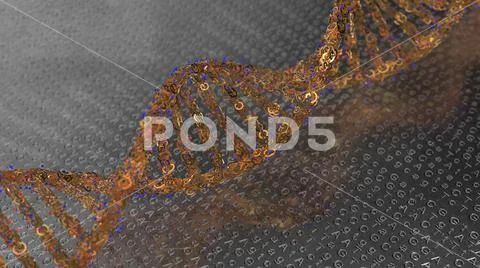 DNA double helix genetic engineering of human genes for medical ...