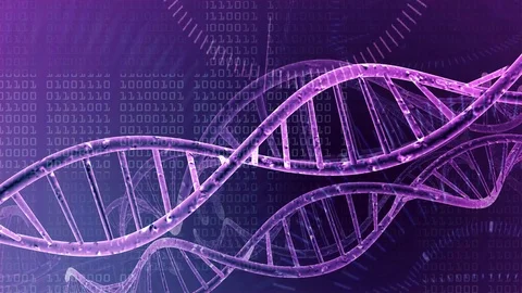 DNA double helix purple background | Stock Video | Pond5