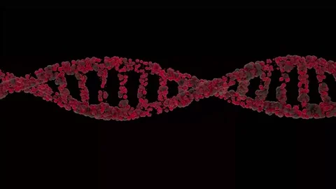DNA Double Helix Strand Animation Alpha ... | Stock Video | Pond5