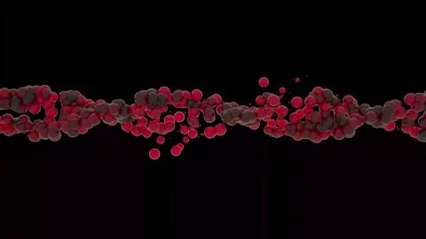 DNA Double Helix Strand Animation Alpha ... | Stock Video | Pond5