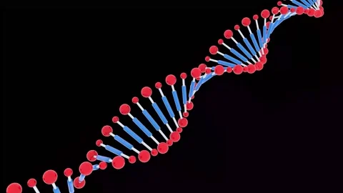 DNA Double Helix Strand Animation Alpha ... | Stock Video | Pond5