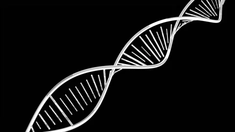 DNA Double Helix Strand Animation Alpha ... | Stock Video | Pond5