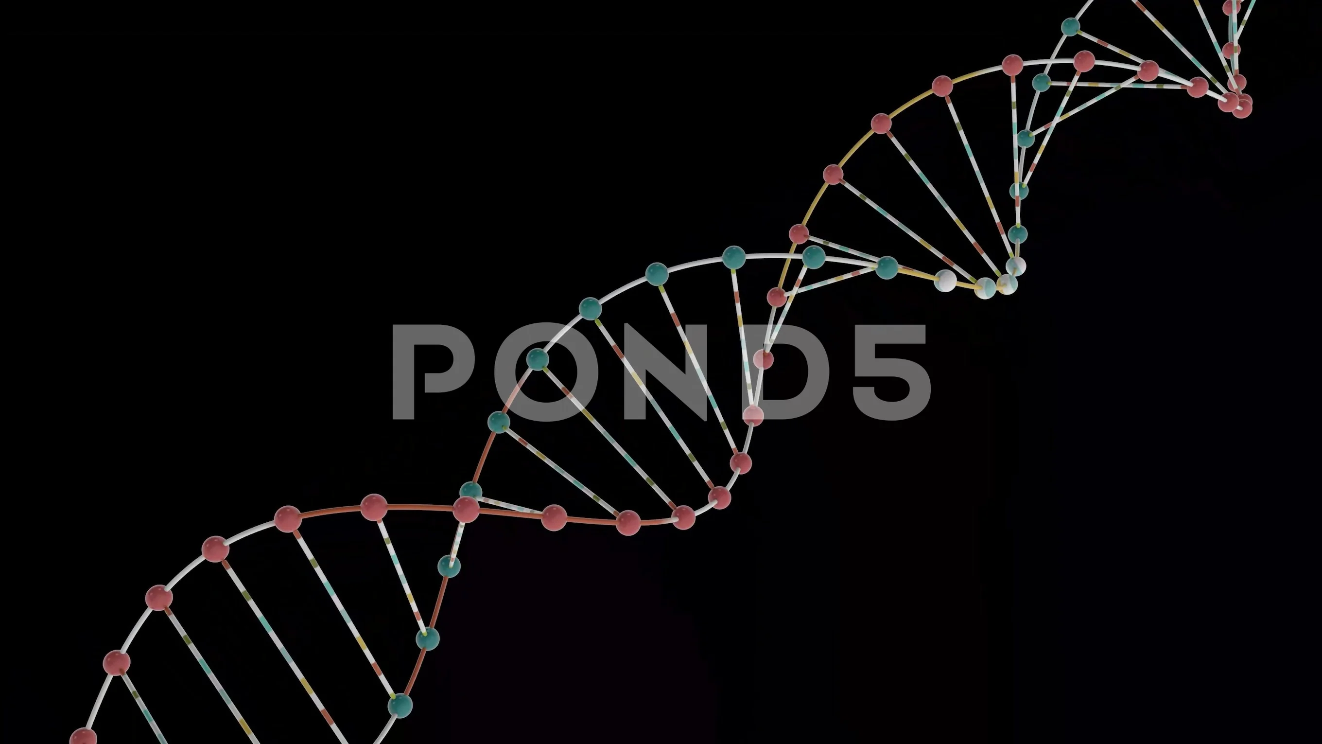 3d Dna Structure Animation