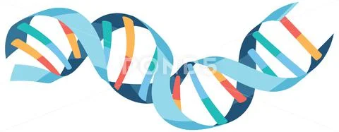 DNA helix symbol isolated on white background Illustration #170984704