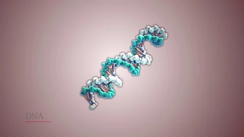 DNA Molecule Animation | Stock Video | Pond5