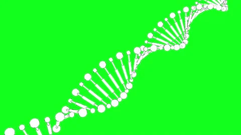 DNA molecule chain animation on green sc... | Stock Video | Pond5