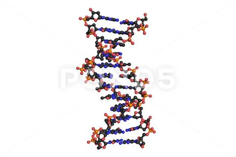 DNA molecule Deoxyribonucleic acid chemical structure rotating fragment ...