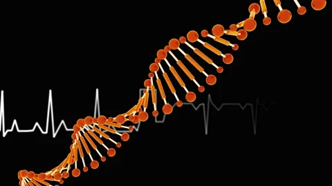 DNA Rotating 360 Degree, Hologram Animat... | Stock Video | Pond5