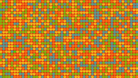 DNA Sequence AGCT Letter Pattern Backgro... | Stock Video | Pond5