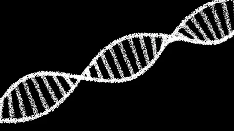 DNA Strand animation. Abstract White col... | Stock Video | Pond5