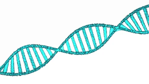 DNA Strand animation. DNA molecules. Hum... | Stock Video | Pond5