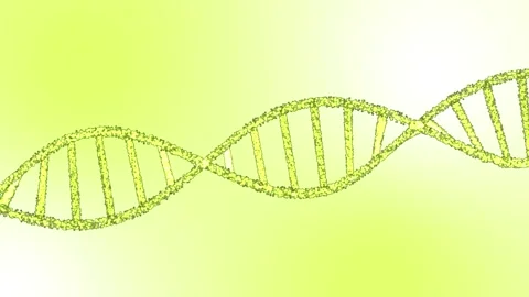 DNA Strand animation. DNA molecules. Hum... | Stock Video | Pond5