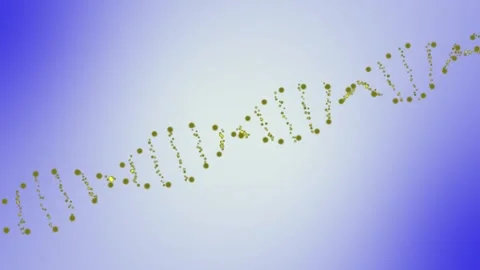 DNA Strand animation. Simple DNA strand ... | Stock Video | Pond5