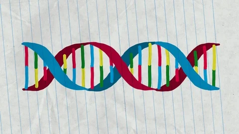 DNA Strand on Lined Paper | Stock Video | Pond5