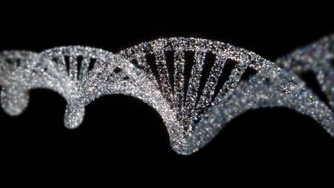 Jewellery Stock Video Footage | Royalty Free Jewellery Videos | Pond5