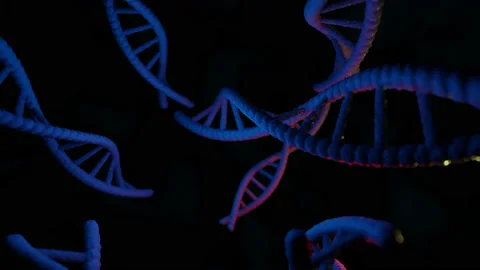 DNA strands in cell rotating 3d animatio... | Stock Video | Pond5