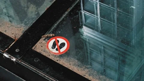 Do Not Step Here Caution Sign Sticker Gl... | Stock Video | Pond5