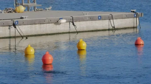 Dock and floating buoys | Stock Video | Pond5