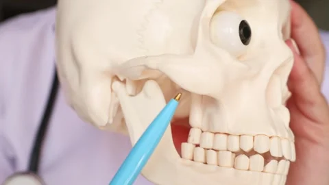 Bone Pointing Stock Video Footage | Royalty Free Bone Pointing Videos ...