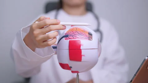 Doctor with human Eye anatomy model with... | Stock Video | Pond5