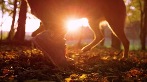 Woman Dof Stock Videos – Royalty-Free HD & 4K Videos