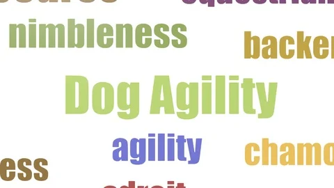 Dog Agility Word Cloud Animated On White... | Stock Video | Pond5