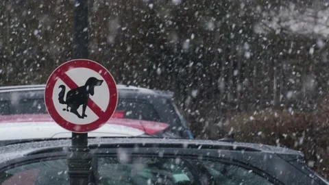 No Pooping Signs Stock Videos – Royalty-Free HD & 4K Videos