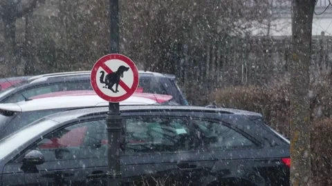 No Pooping Signs Stock Videos – Royalty-Free HD & 4K Videos