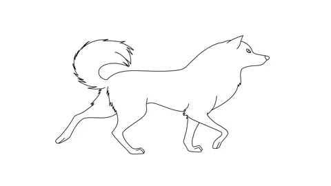 2D Animation Dog Stock Footage ~ Royalty Free Stock Videos | Pond5