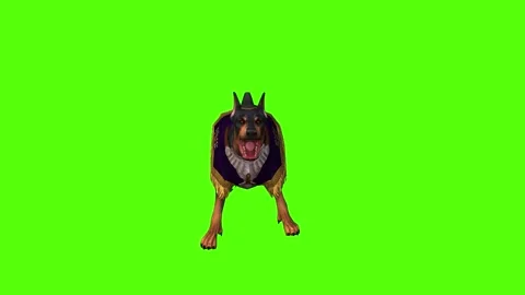 Dog Barking Green Screen Animation 4K Re... | Stock Video | Pond5