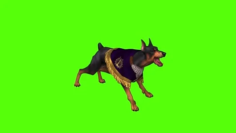 Dog Barking Green Screen Animation 4K Re... | Stock Video | Pond5