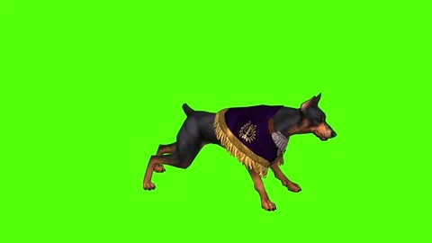 Dog Bite Green Screen Animation 4K Rende... | Stock Video | Pond5