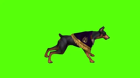 Dog Bite Green Screen Animation 4K Rende... | Stock Video | Pond5