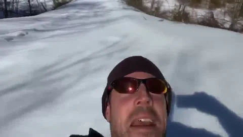 Dog Sledding Canada Stock Videos – Royalty-Free HD & 4K Videos